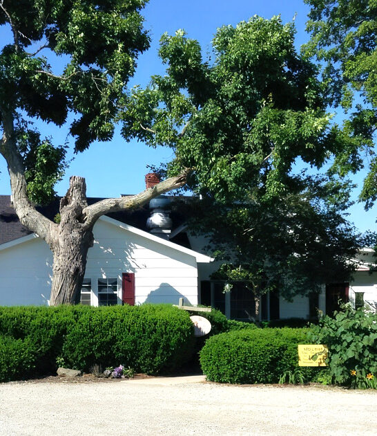 hidden steakhouse ohio gem ftr