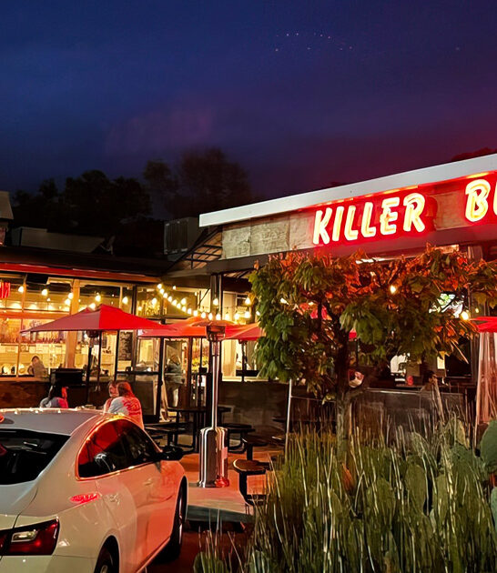 hillbilly burger restaurant georgia ftr