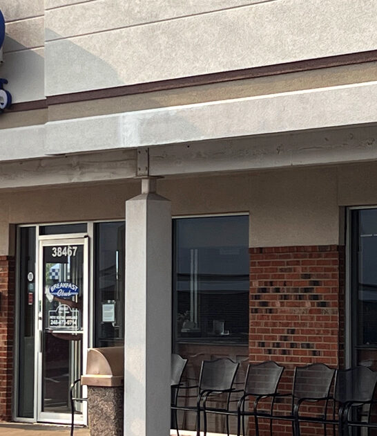 homey diner michigan best ftr