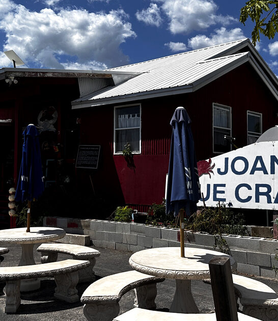 homey florida grouper sandwich ftr