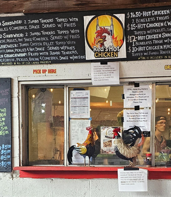 hot chicken tennessee roadtrip ftr