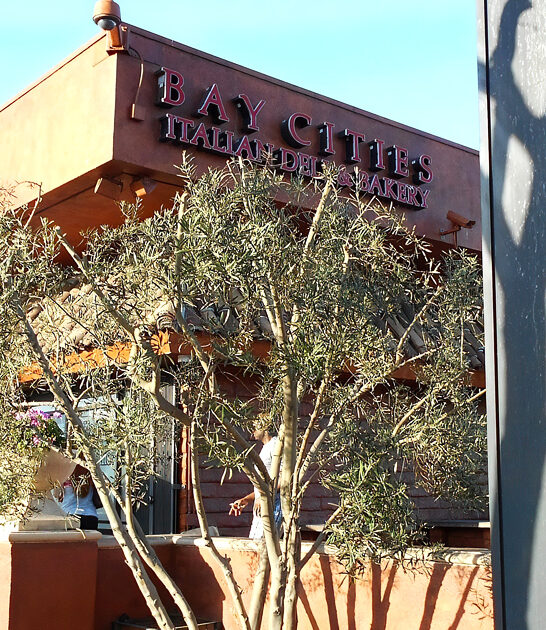 humble italian deli california ftr