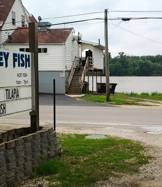 hush puppies heaven illinois ftr
