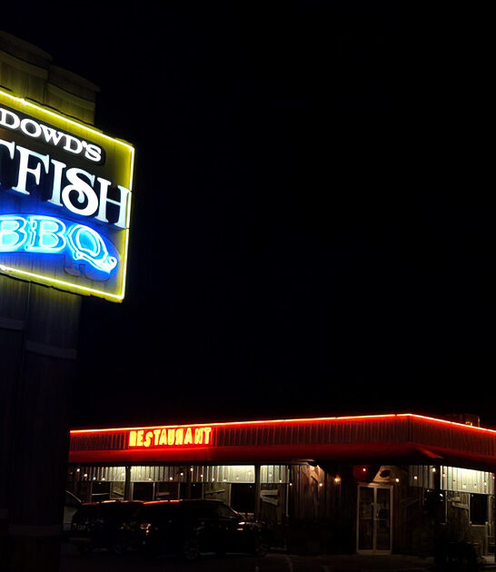 hush puppies missouri best ftr
