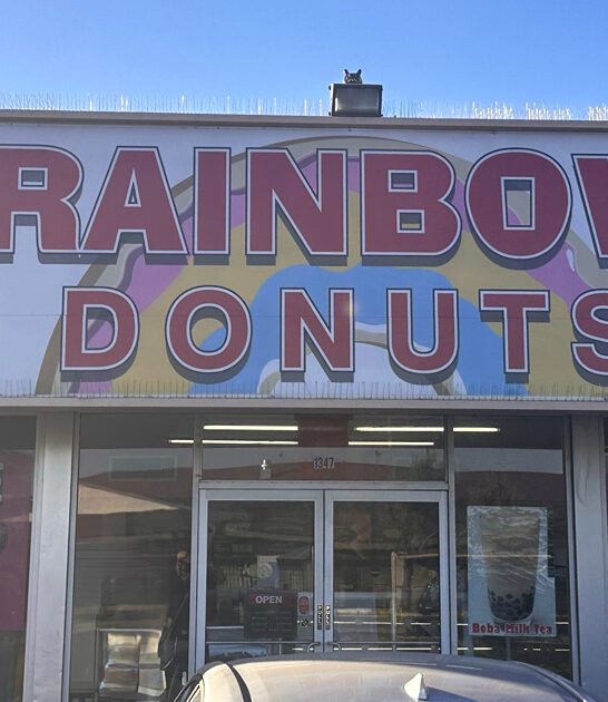 iconic bakeshops arizona donuts ftr