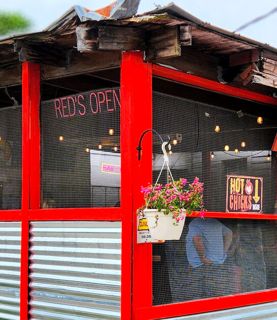 iconic catfish sandwich tennessee ftr