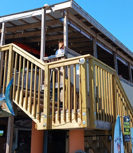 iconic florida snow crab ftr