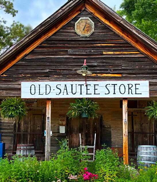 iconic general store georgia ftr