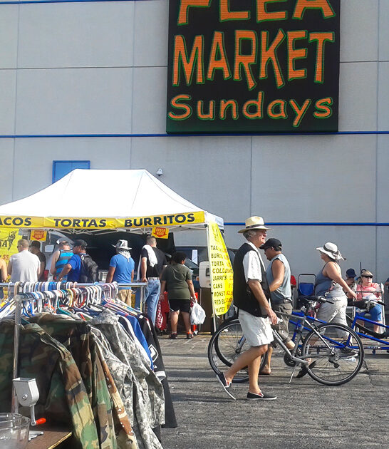 illinois bargains flea market ftr