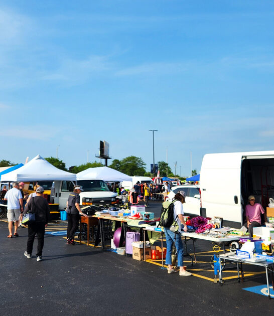 illinois coolest flea market ftr