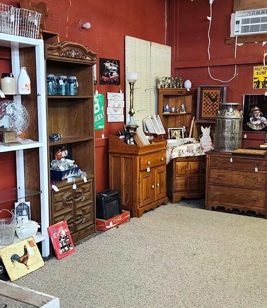 illinois flea market bargains ftr
