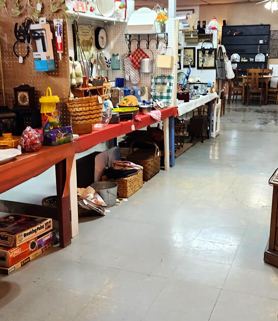 illinois flea market deals ftr