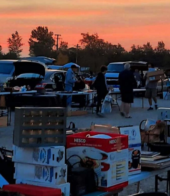 illinois rare treasures deals ftr