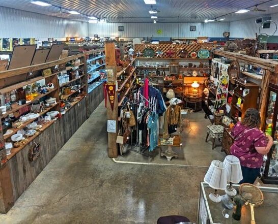 illinois treasures vintage store ftr