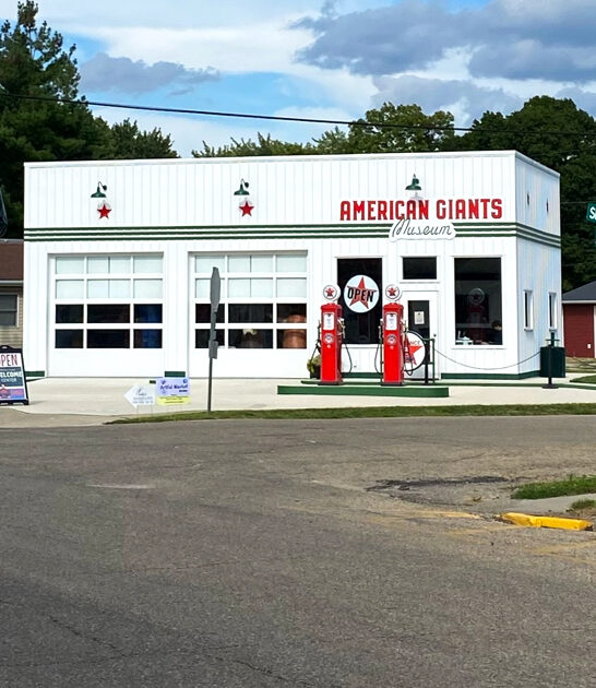 illinois weird giant museum ftr