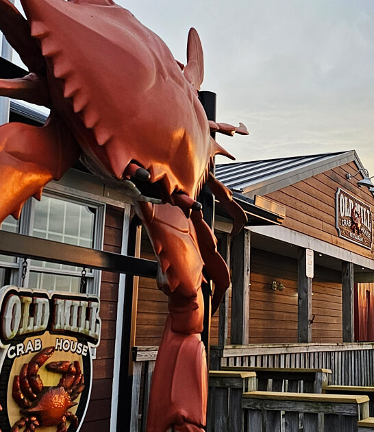 juicy crab bites delaware ftr