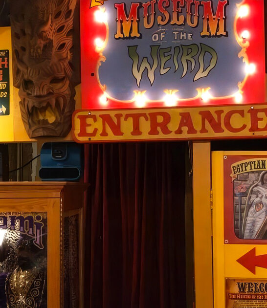 kitschy macabre museum texas ftr