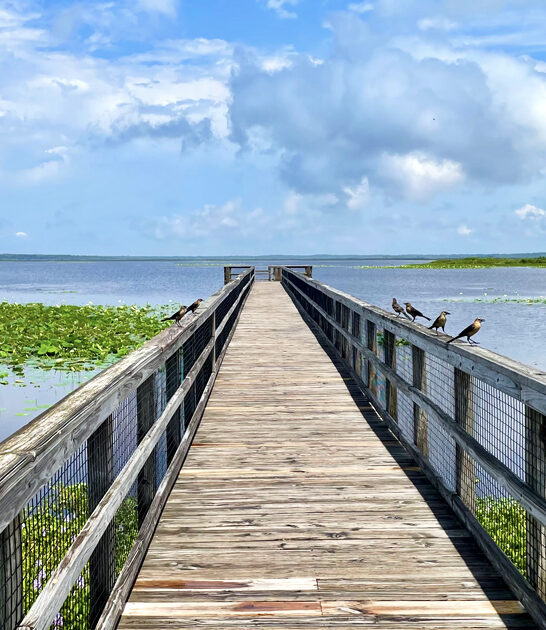 large state park florida ftr