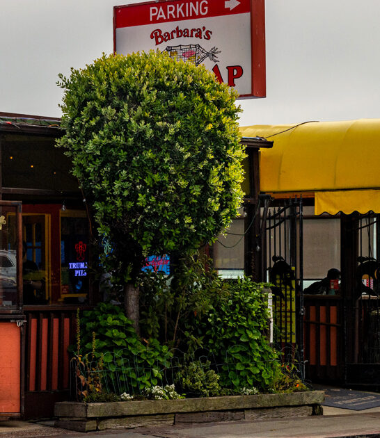 legendary fish shack california ftr