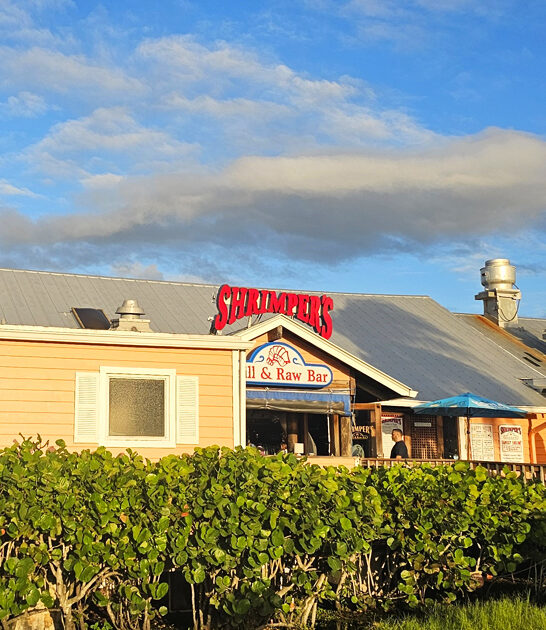 legendary raw oysters florida ftr