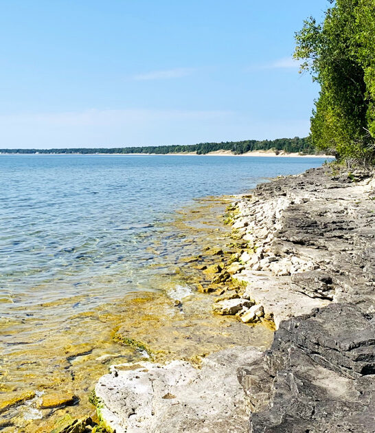 lush park secret wisconsin ftr