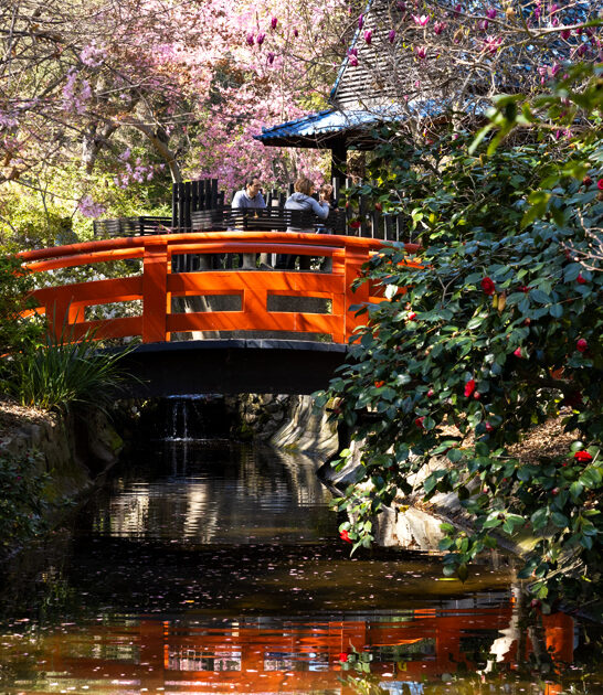 magical botanical garden california ftr