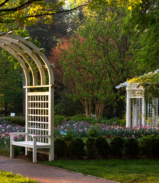 magical garden virginia beautiful ftr