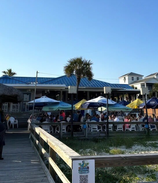 mahi tacos delicious florida ftr