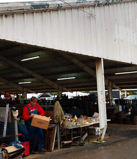 market tennessee treasure affordable ftr