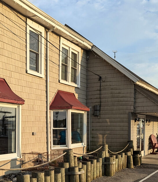 maryland hush puppy heaven ftr