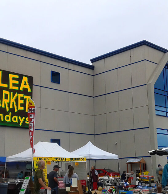 massive flea illinois market ftr