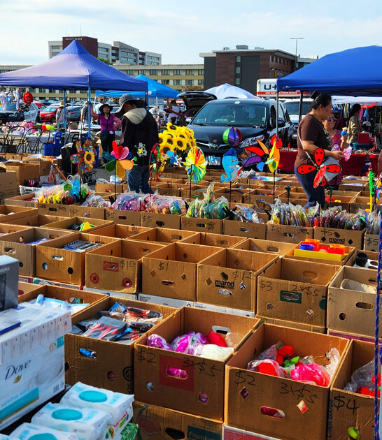 massive flea illinois way ftr