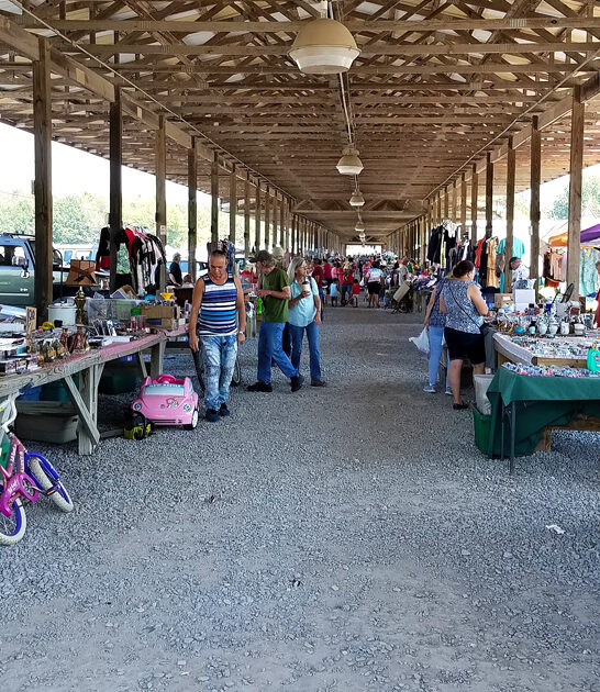 massive flea market georgia ftr