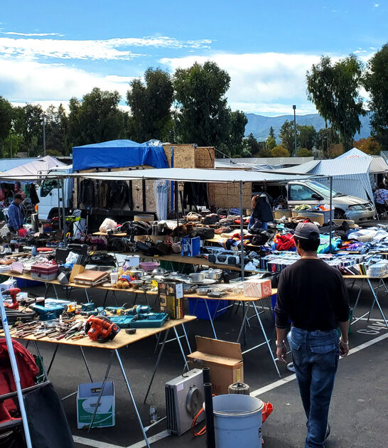 massive market california vendors ftr