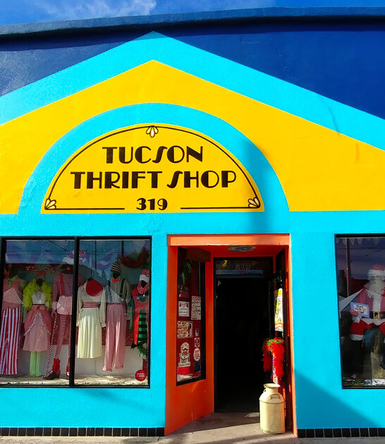 massive thrift find arizona ftr