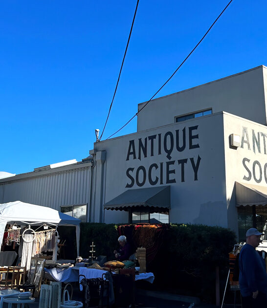 massive treasure store california ftr