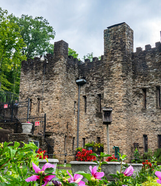 medieval castle ohio dreams ftr
