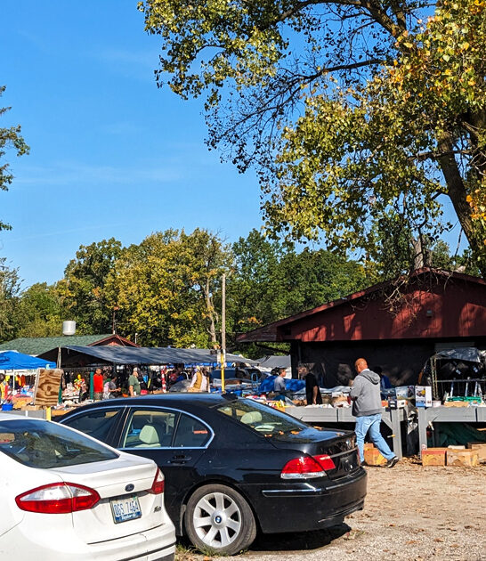 michigan bargains outdoor bazaar ftr