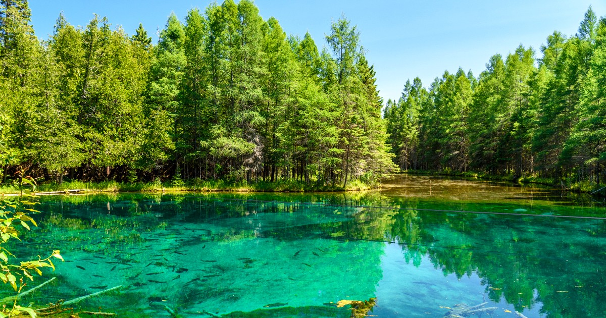 The Gorgeous Freshwater Spring In Michigan That's Too Perfect For Words