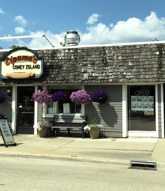 michigan coney dog joints ftr