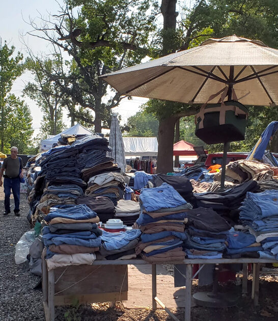 michigan insanely good deals ftr