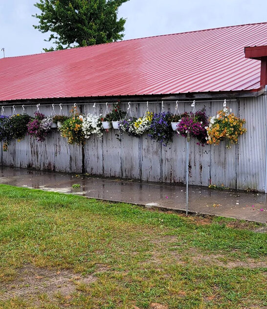 michigan market weekend finds ftr