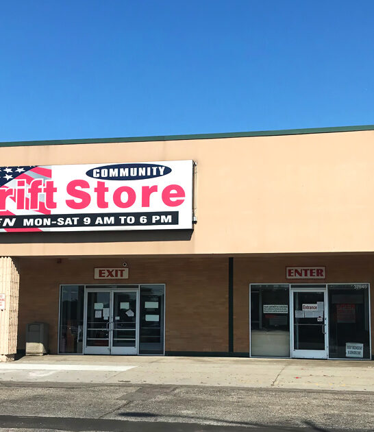 michigan thrift hunters dream ftr