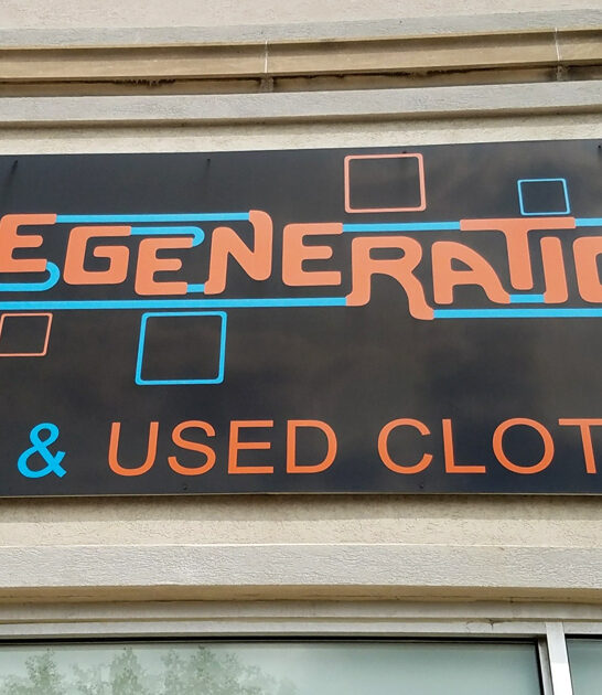 michigan thrift store hunting ftr