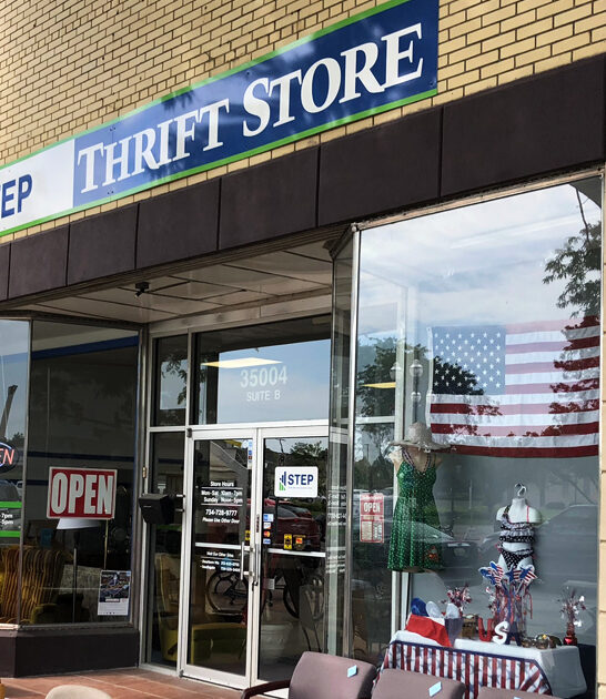 michigan thrift store treasure ftr