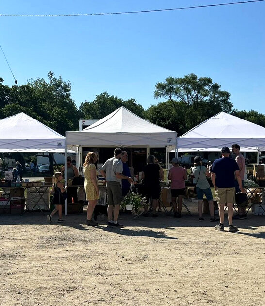 michigan vintage market shopping ftr