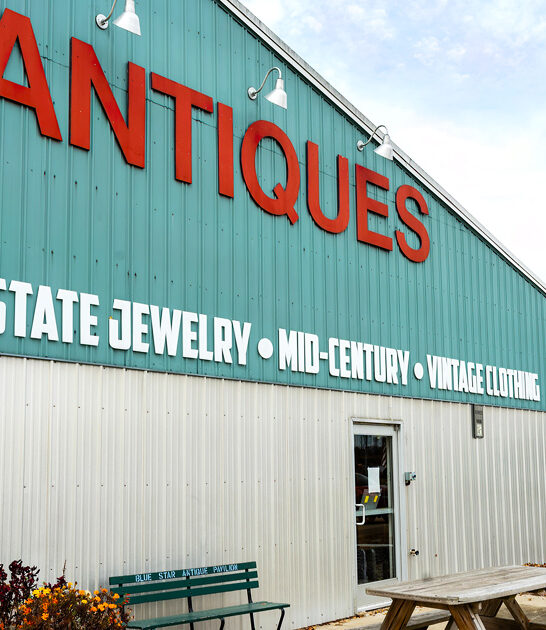 michigan vintage store treasures ftr