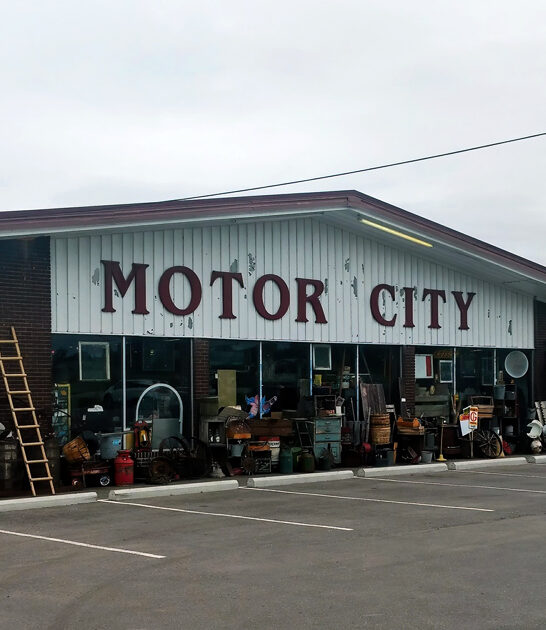 michigan vintage treasures store ftr