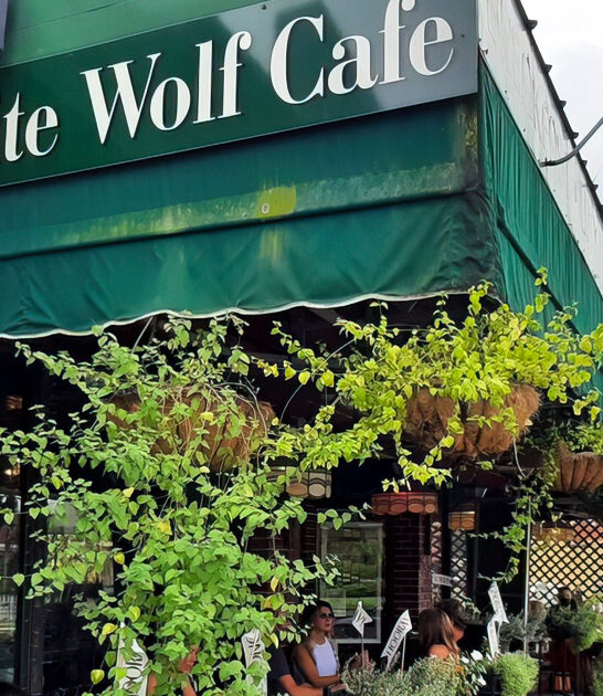 mouth watering flatbreads florida ftr