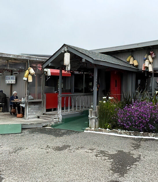 mouth watering oysters california ftr